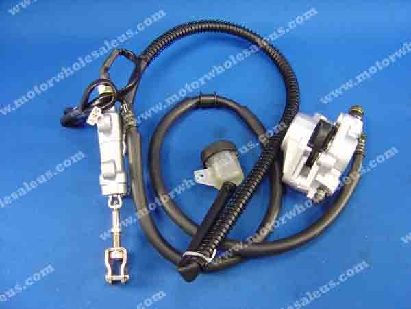 Rear Brake Assy 43